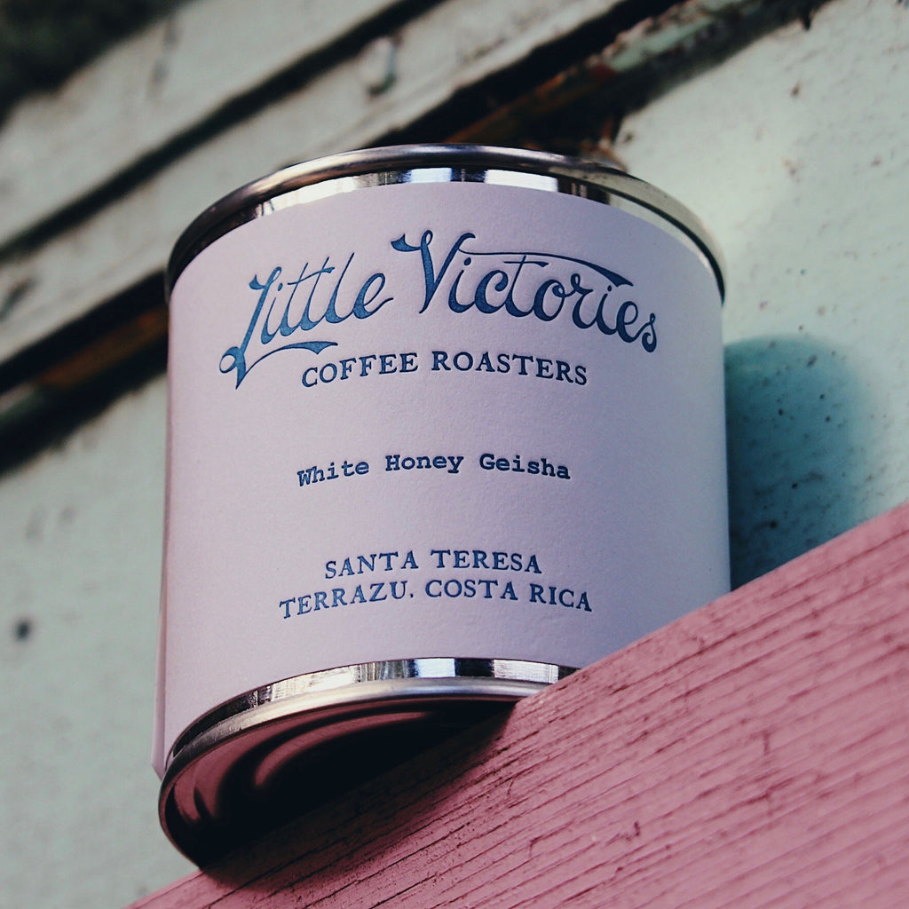 Costa Rica Santa Teresa - White Honey Geisha – Little Victories Coffee ...